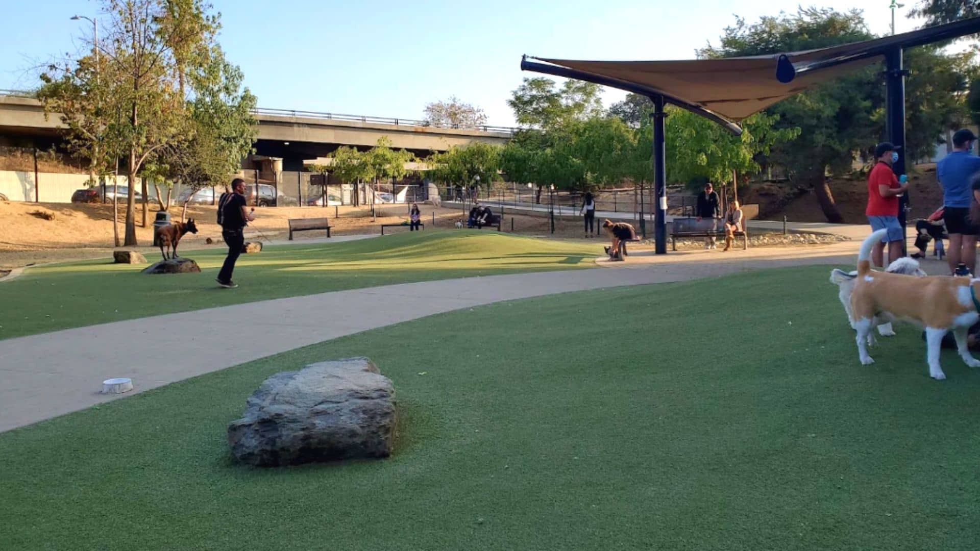 10 Best Dog Runs in Los Angeles