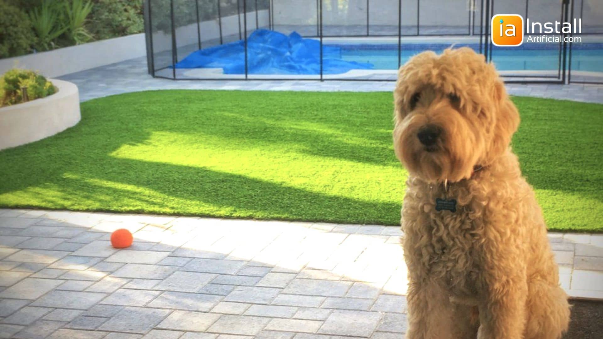 All About Artificial Turf Dog Runs