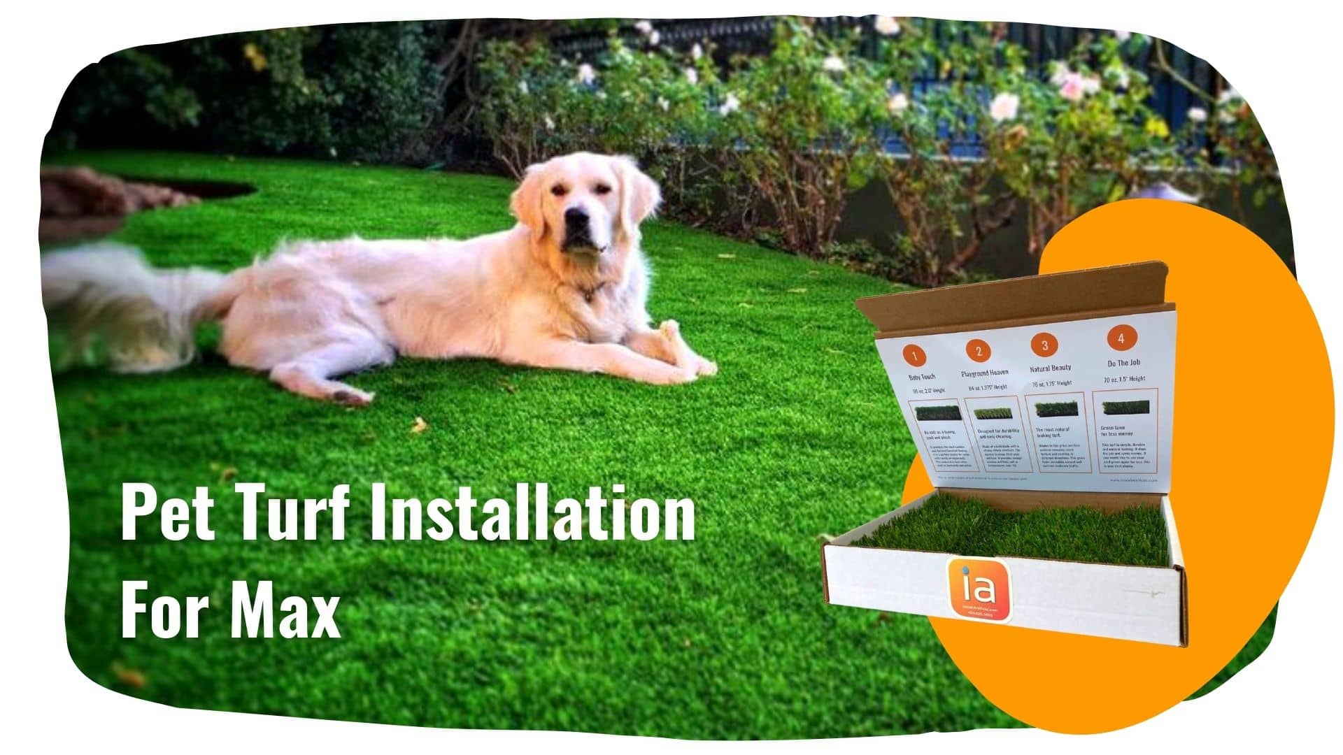 Los Angeles Artificial Grass Company Specializing in Pet Turf Installs